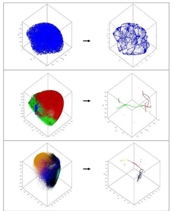 Forscher in der Quantenmechanik setzen Maple zur gezielteren Krebstherapie ein | Konstruktion ...